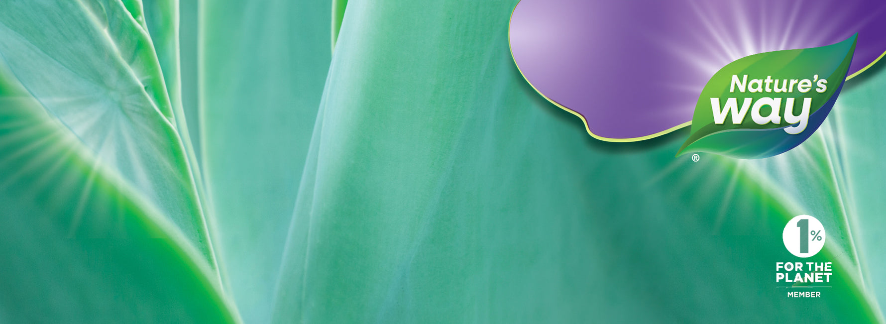 Canada's Premier Vitamin and Nutritional Supplement Dispensary – The ...